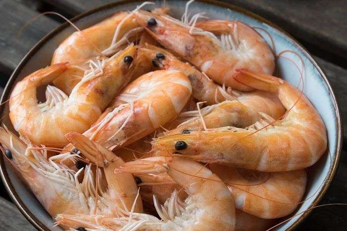 Camarão | Tipos de camarão - Cozinha Técnica